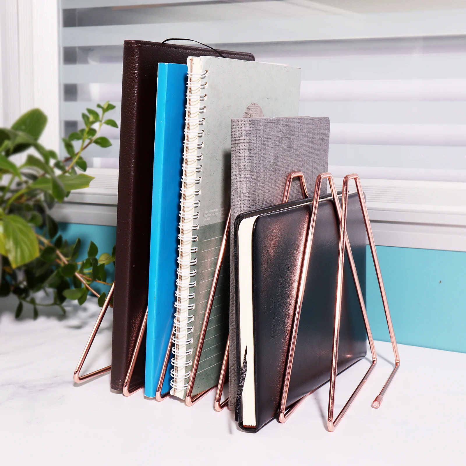 Magazine Holder And Triangle File Folder Racks Record Holder Desktop ...
