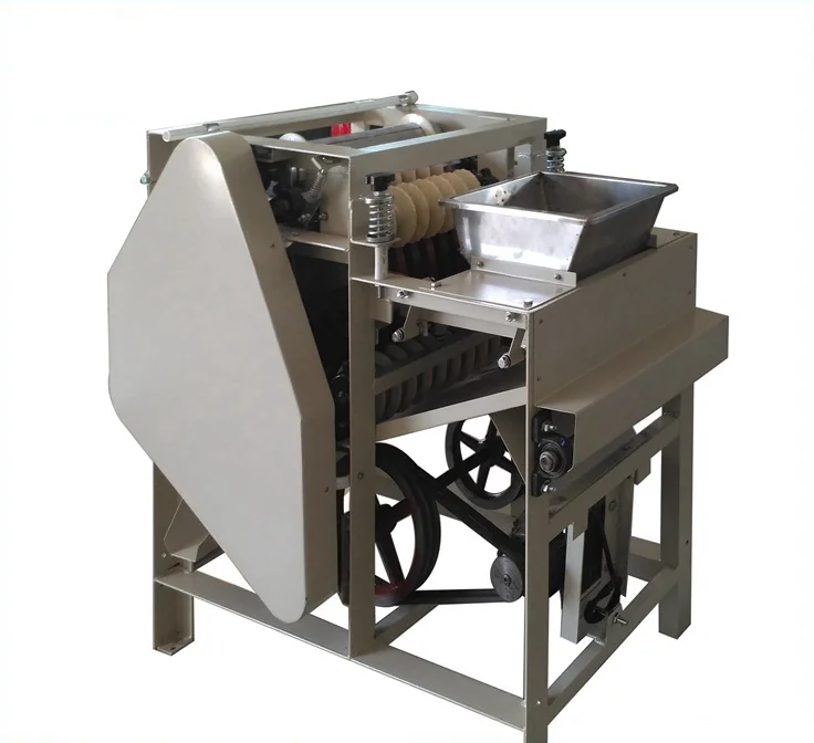 Efficient Nuts Processing - High Capacity Peeling Machines