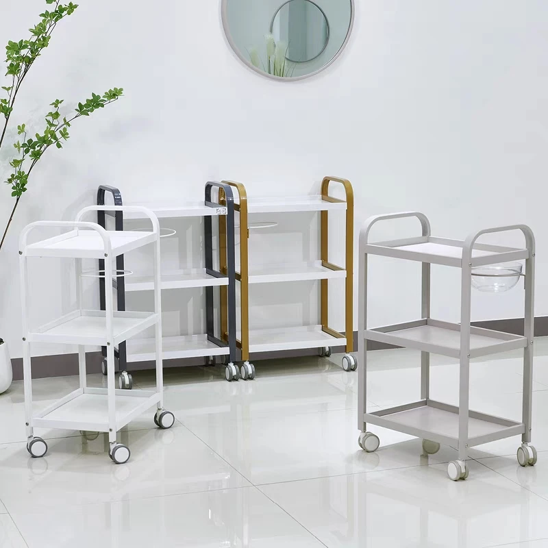 Hot Sales Free Shipping Medical Equipment Trolley Beauty Salon Spa ...