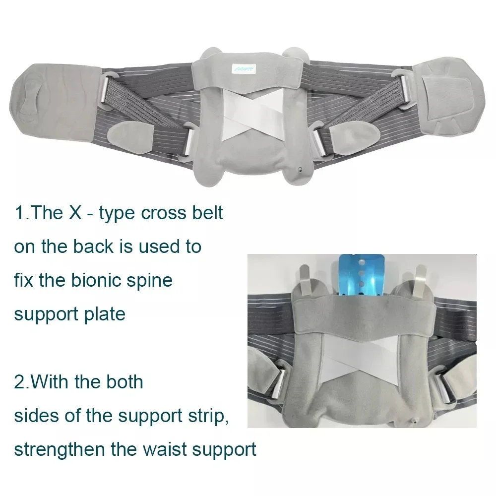 Universal Back Straightening Compression Lumbar Abdominal Supports Work ...