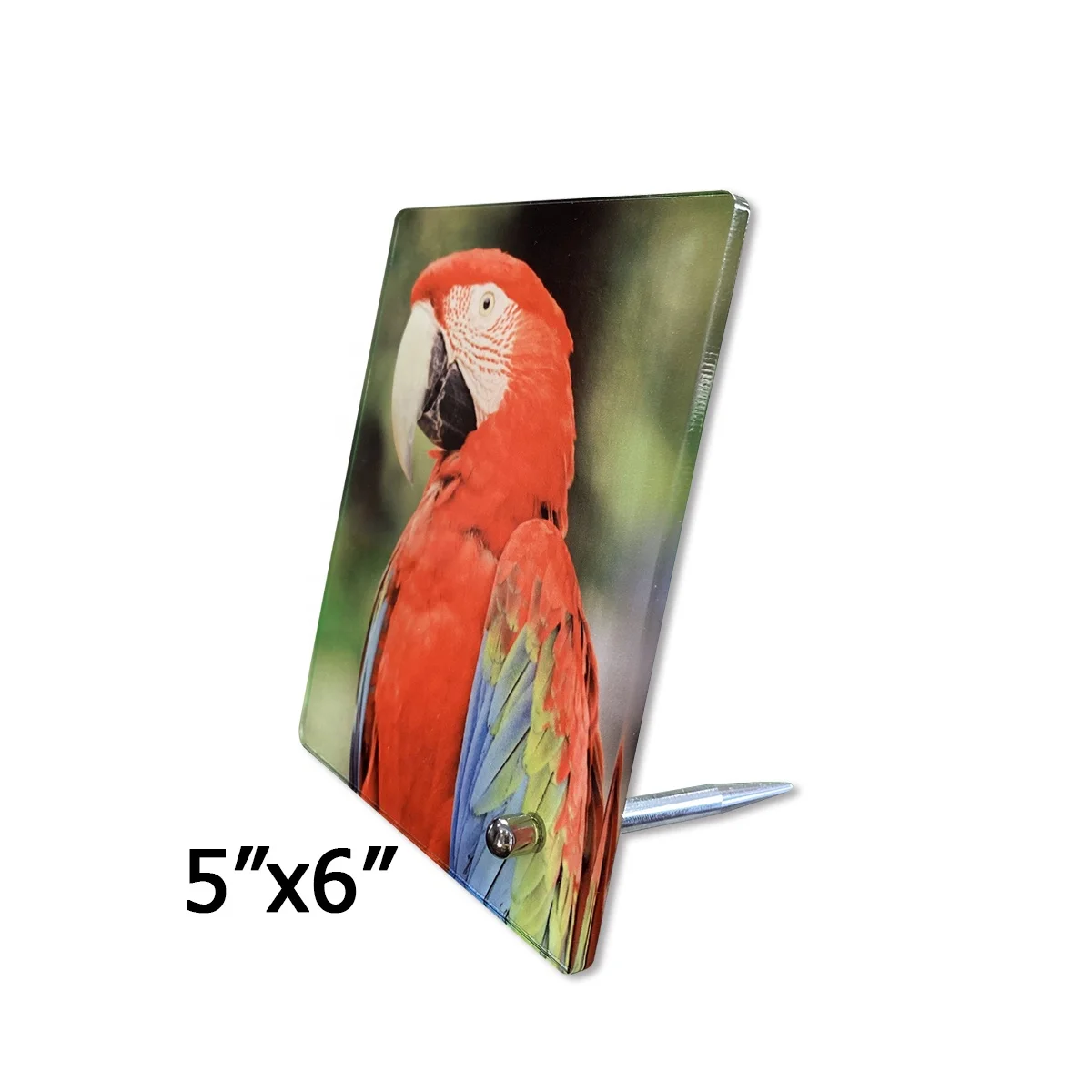 5"x6"x4.5mm Longstar Beautylic LS-SAC100 Desktop photo panel acrylic ...