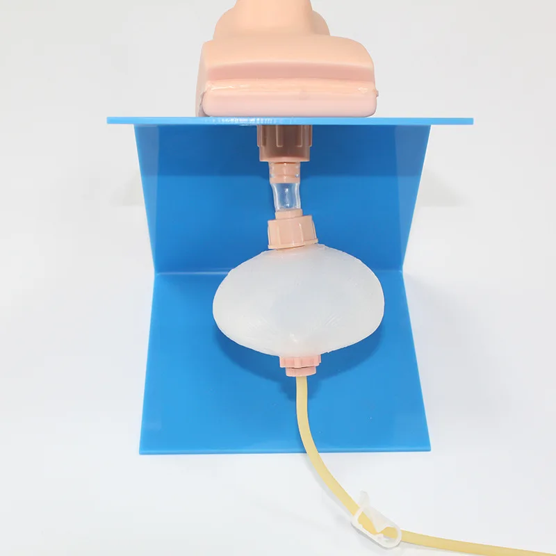 Kyrenmed Male Urinary Catheterization Training Simulator