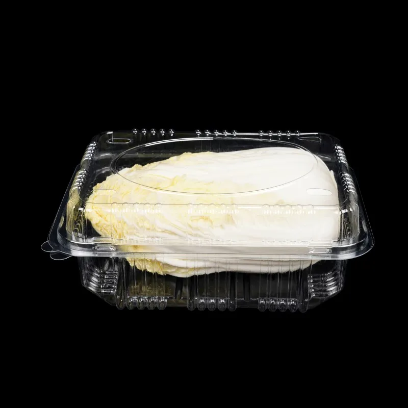 Transparent Plastic Clamshell Fruit Packaging Box