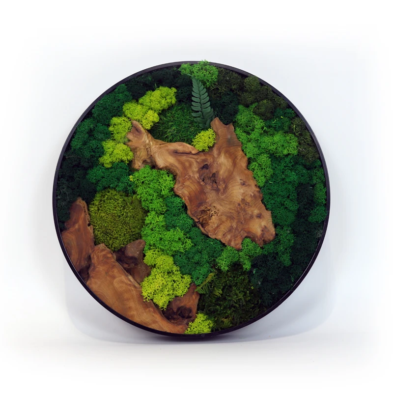 Custom 3D Preserved Moss Panel - Natural Decorative Green Wall Moss Art ...