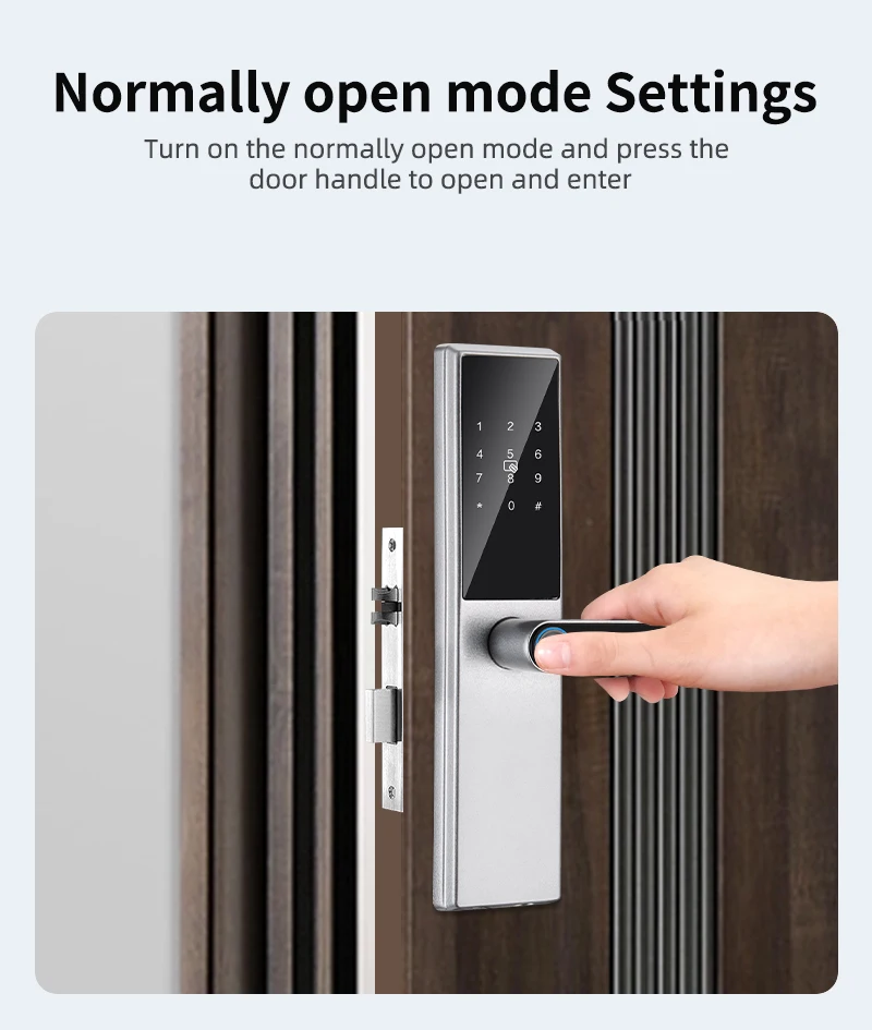 Semiconductor Fingerprint Recognition Intelligent Wooden Door Password ...
