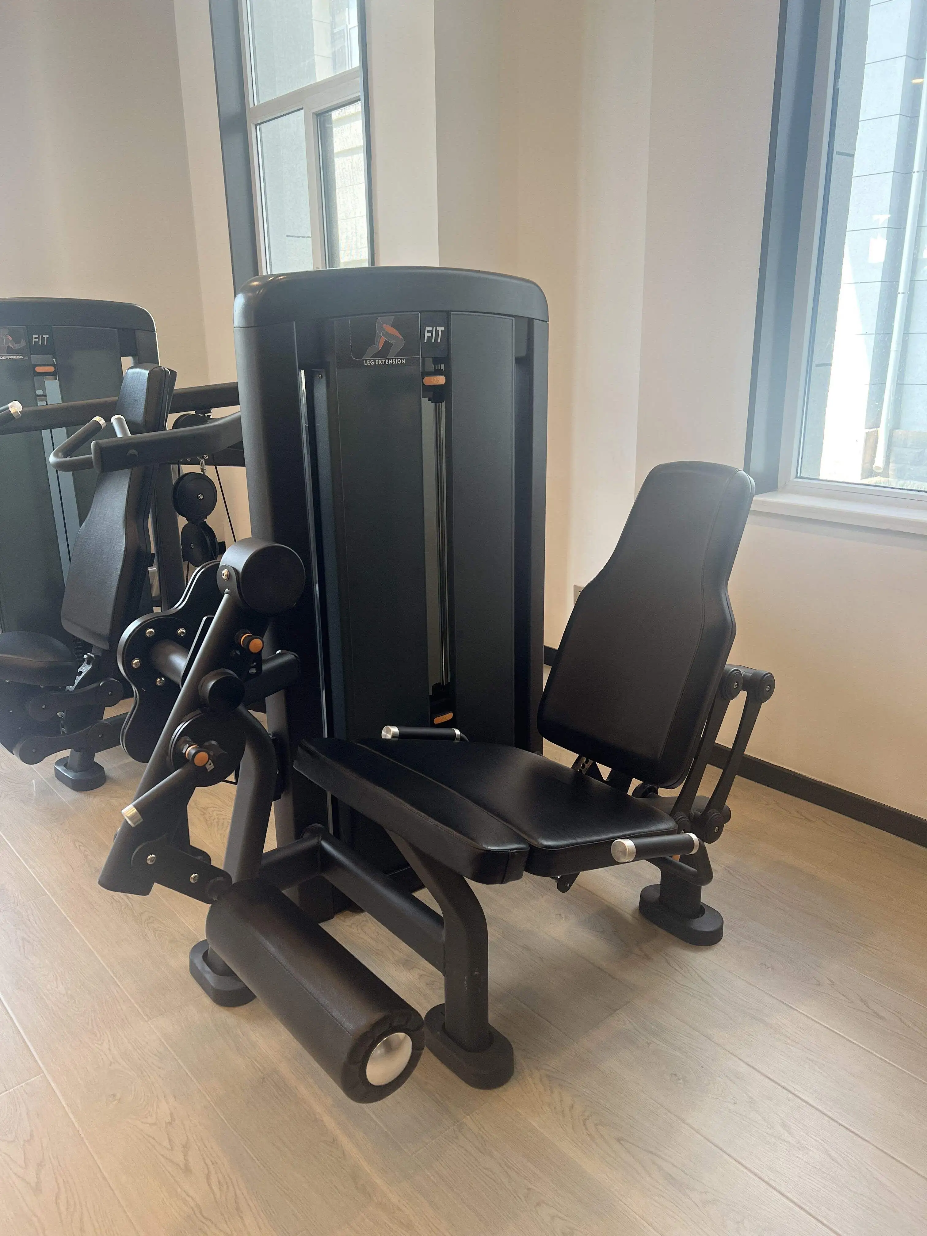 Professional Gym Leg Extension Pin Load Selection Machines Leg ...