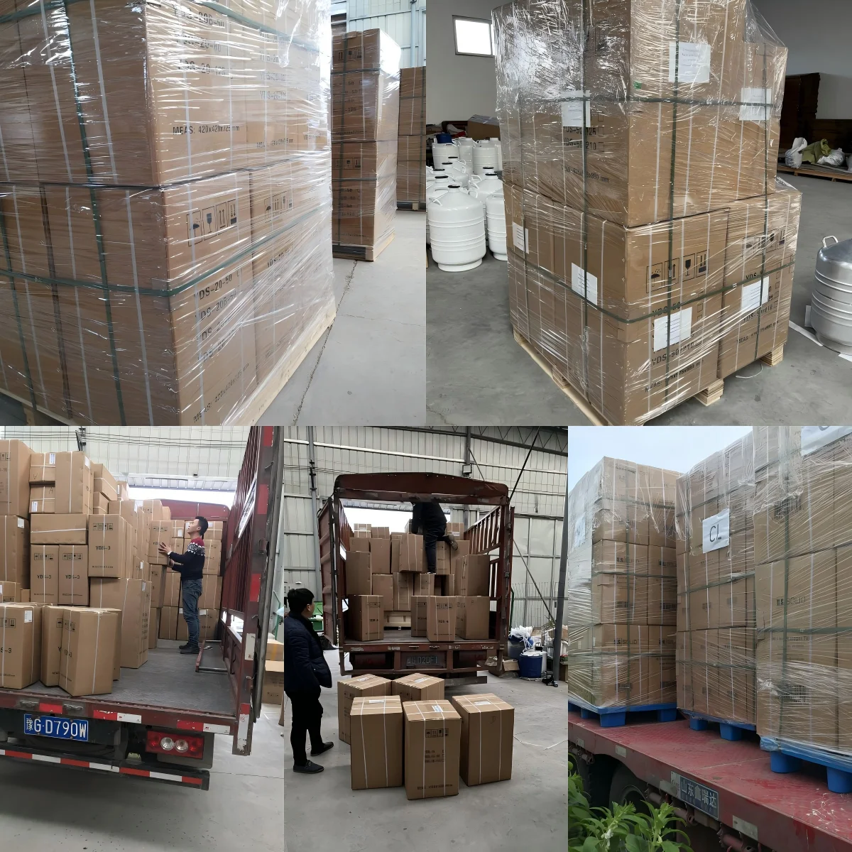 Liquid Nitrogen Container Dewar YDS - Cost-Effective Cryogenic Tanks ...