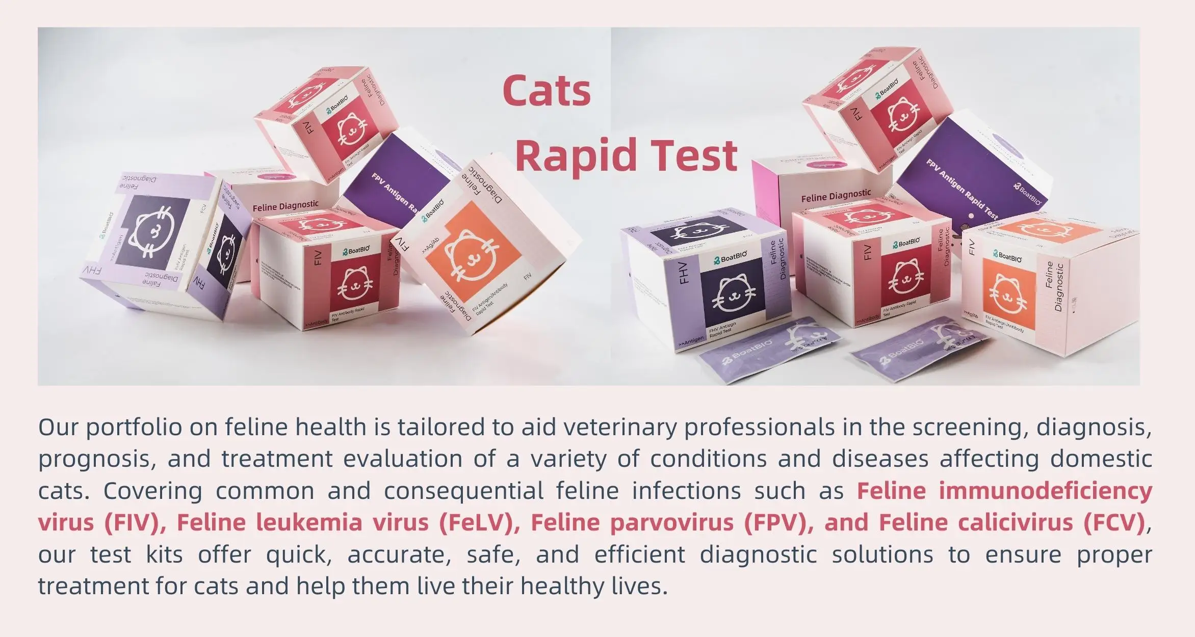 Ce Approved Pet Test In Vitro Diagnostics Accurate Cat Feline ...