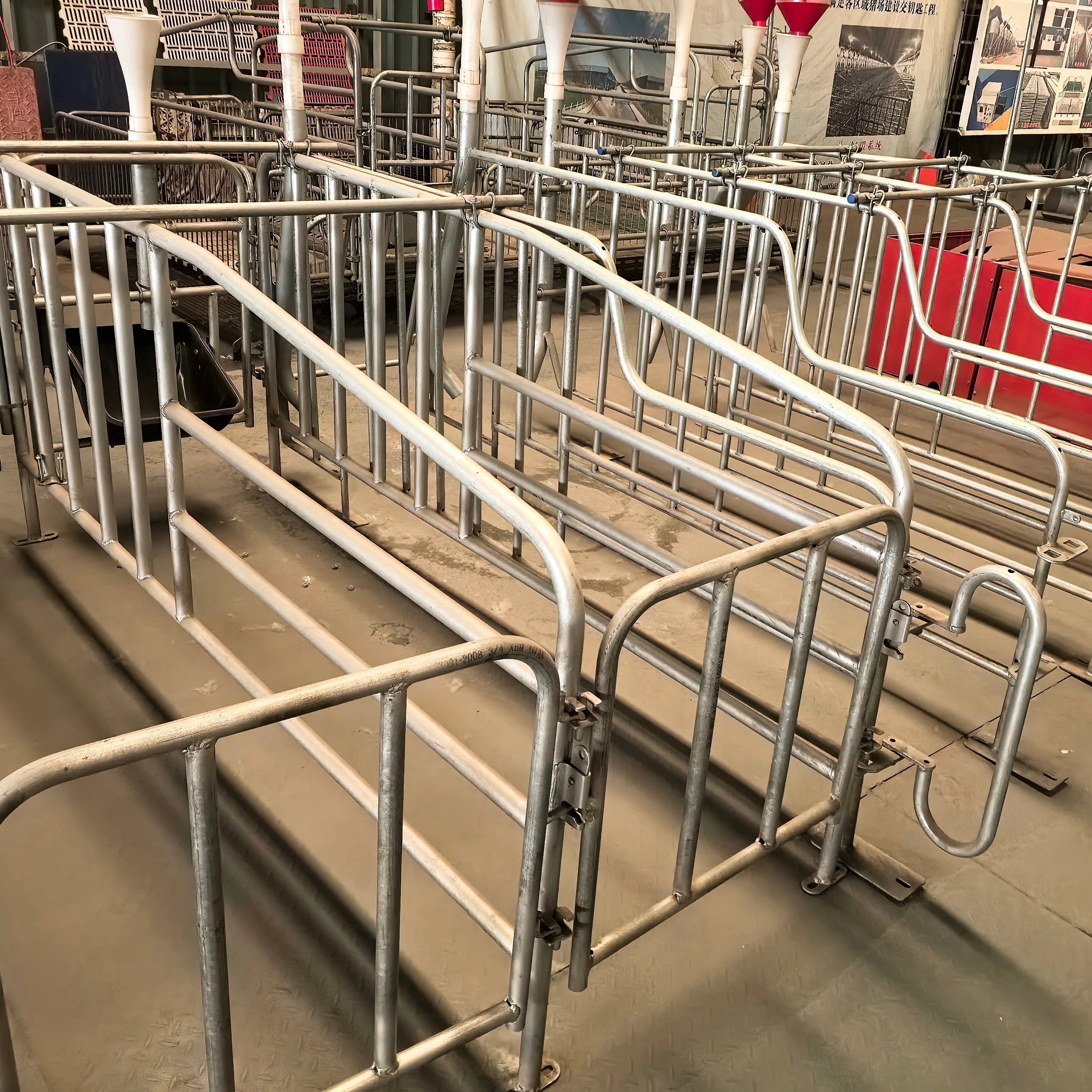 Professional Factory Popular New Farrowing Crate For Pig Farm Breeding ...