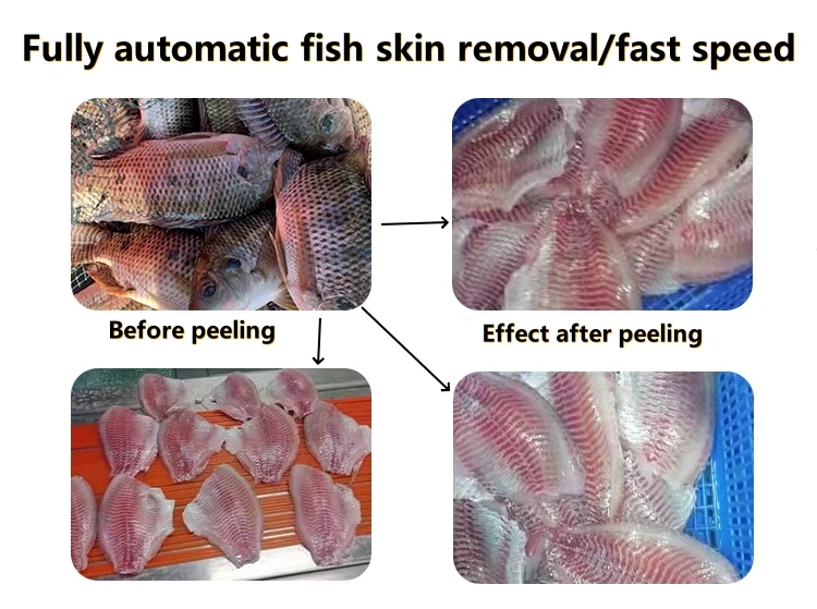Squid Skin Peeling Machine Fish Skin Peeler Machine/fish Peeler/fish ...