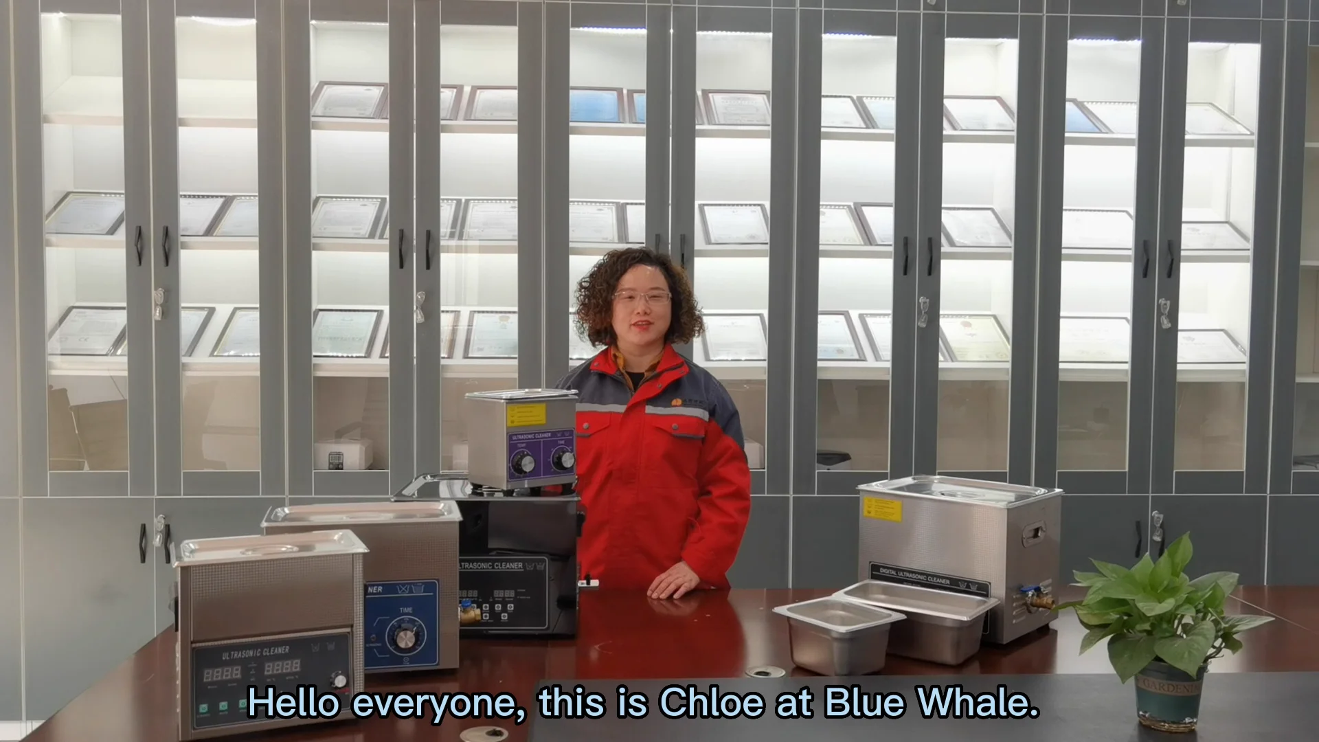 Blue Whale 1.3l-30l Mechanical Ultrasonic Jewelry Coins Nozzle Valve ...