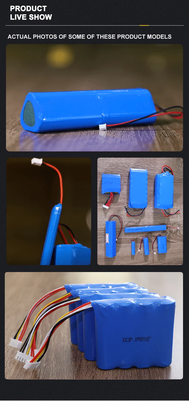 Xunds Customized 18650 Cell Li Ion Batteries Pack 11.1v 36v 48v 60v 72v ...