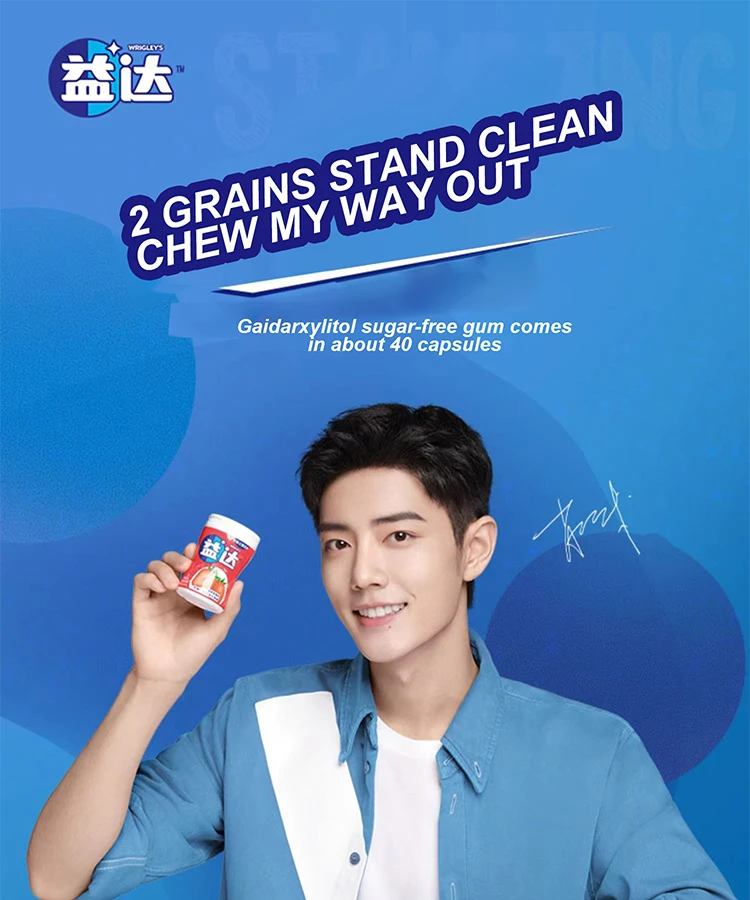 Hot Sale Peppermint Sugar Free Chewing Gum Exotic Snack Genre - Buy ...