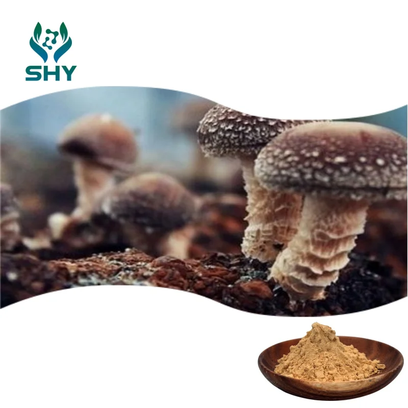 Mushroom mycelium, herbal extract, food grade powder, solvent extract ...