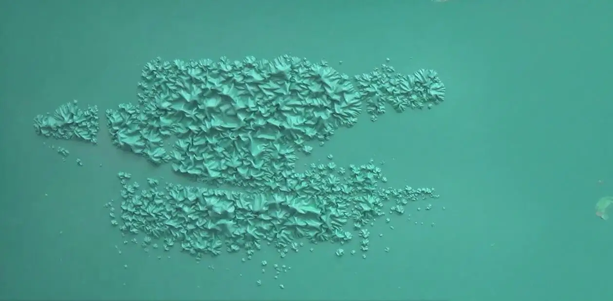 Efficient Metal Paint Remover - High Performance Strippers