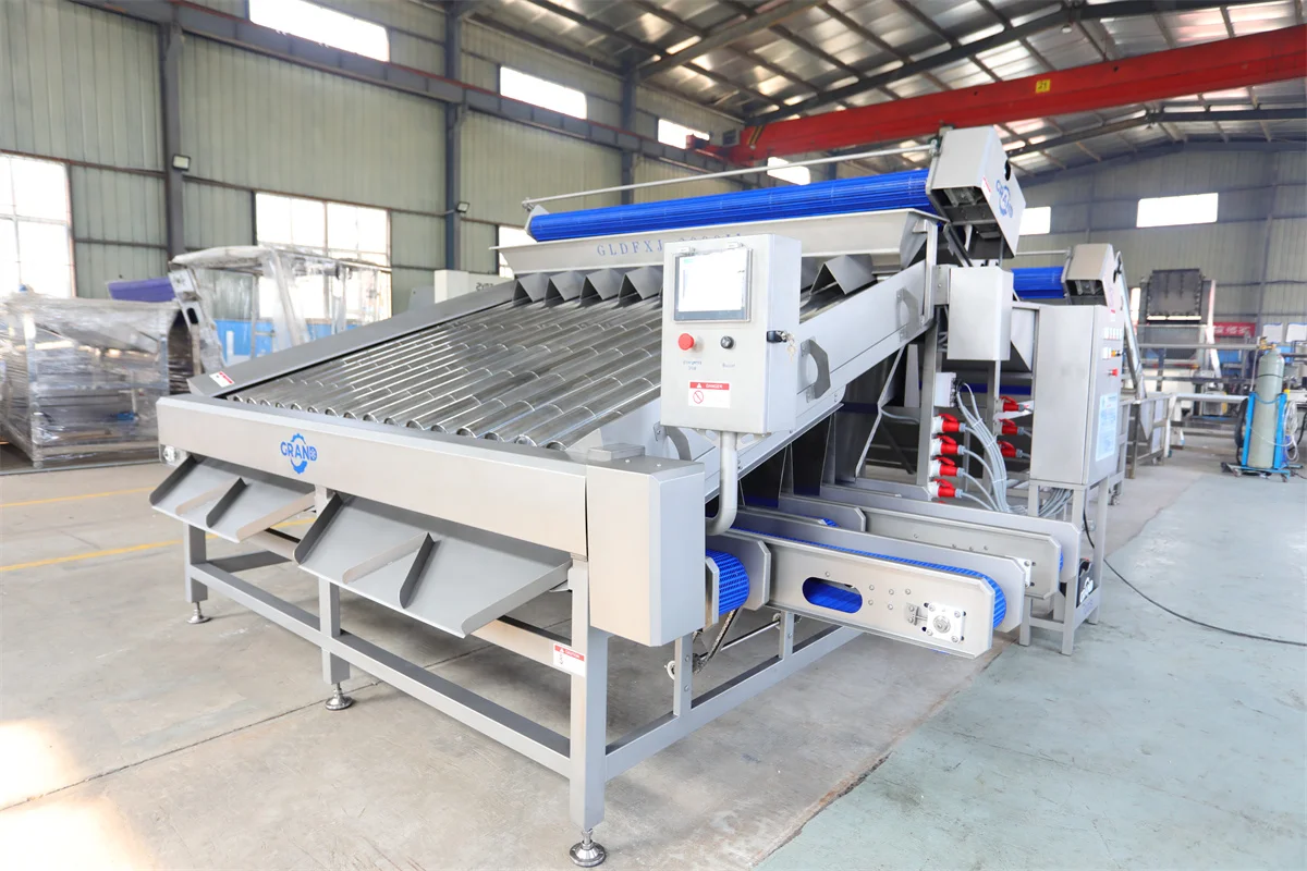18 Rollers High Capacity Shrimp Grading Machine Automatic Control ...