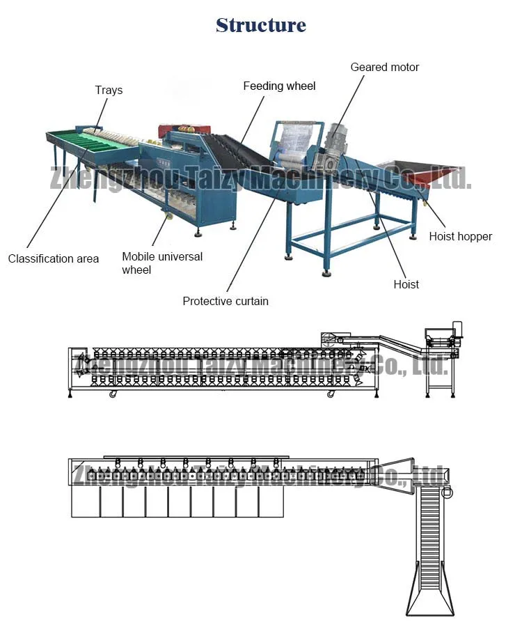 Commercial Okra Sorter Grader Machine for Efficient Vegetable and Fruit ...