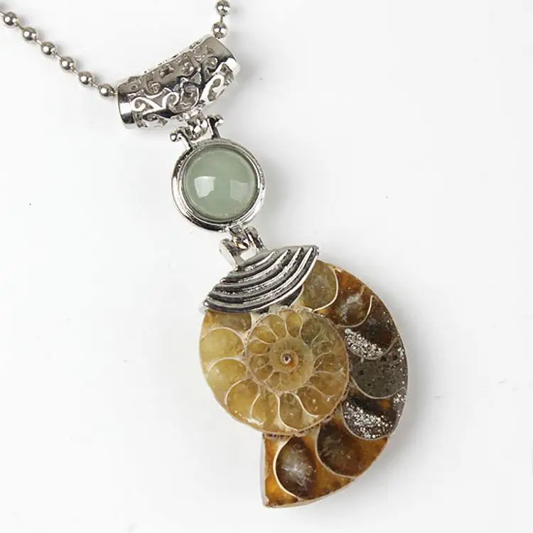 Natural Ammonite Seashell Snail Fossils Conch Necklace