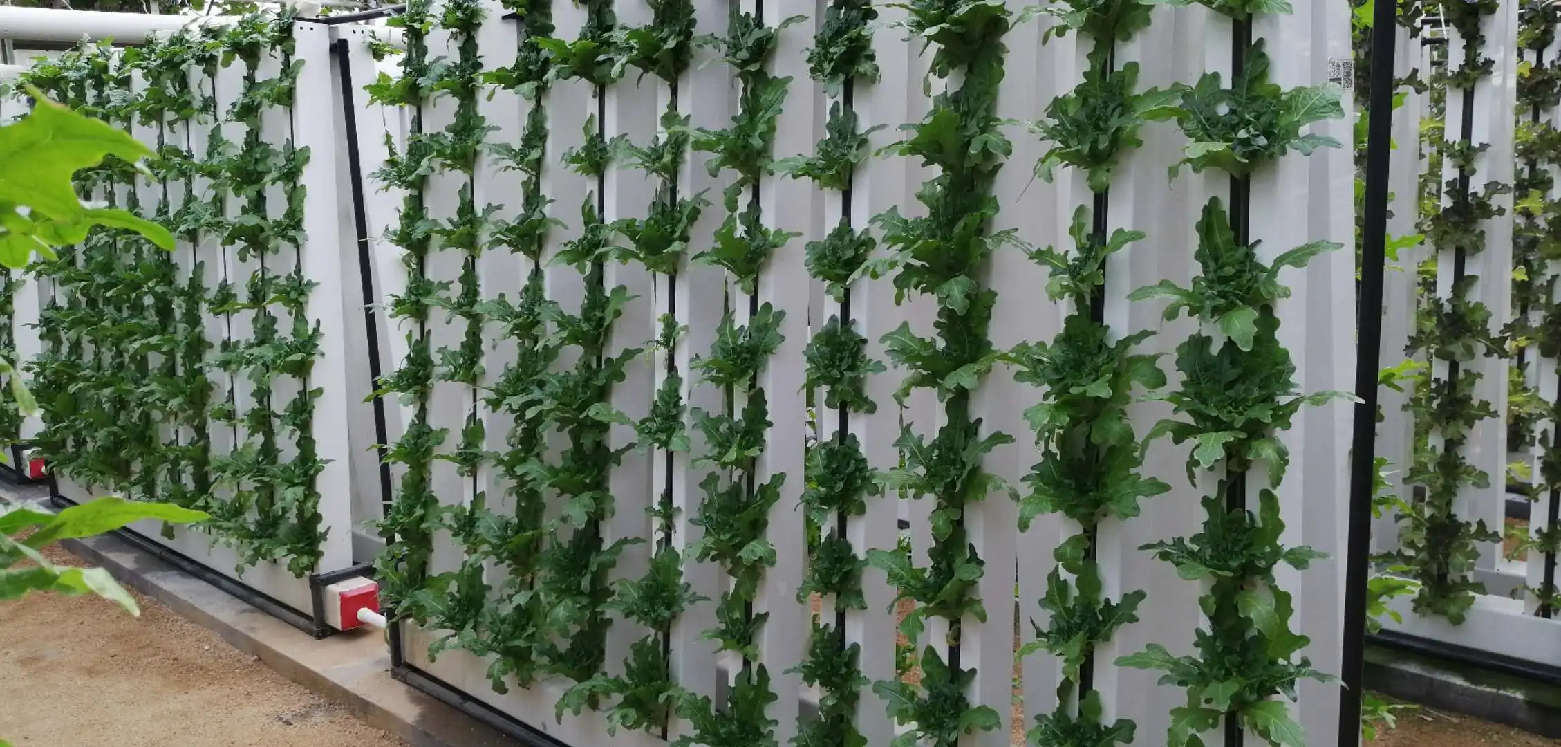 New Agriculture Hydroponic Vertical System - 288 Holes Garden with LED ...