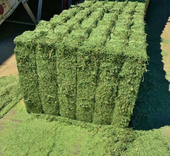 Hay For Sheep跨境商机分析报告行业外贸出口趋势-阿里巴巴国际中文站官网