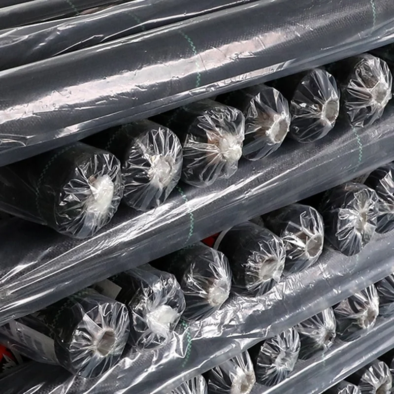 Weed Control Plastic Mat,Grow Black Plastic Weed Control Mat,Garden ...