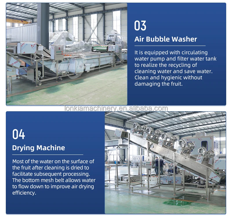 Full Automatic Vegetable Fruit Sorting & Processing Line