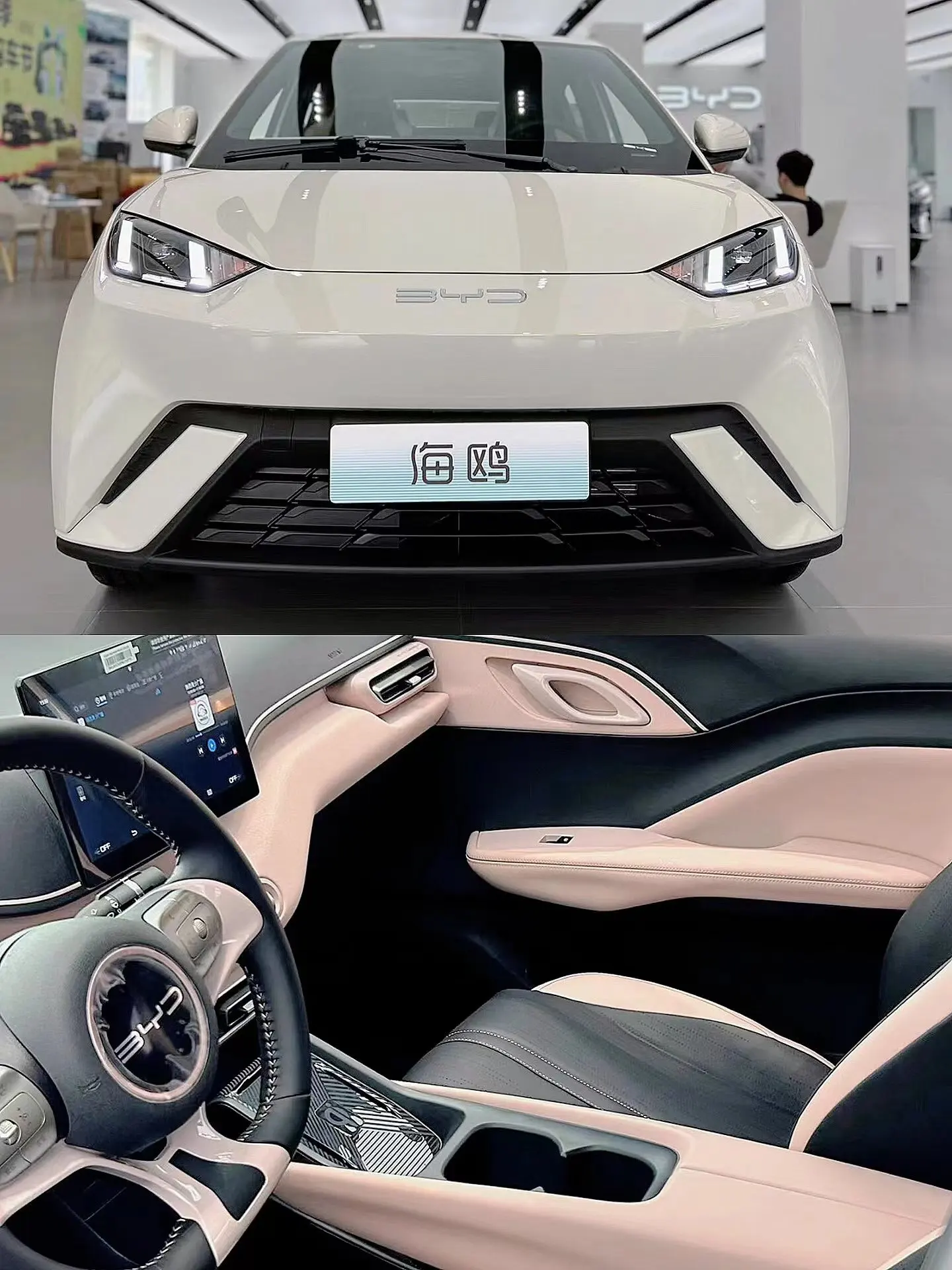 Byd Dolphin Ev 2024 New Energy Hatchback Cars 301km Pure Electric Car 4 ...