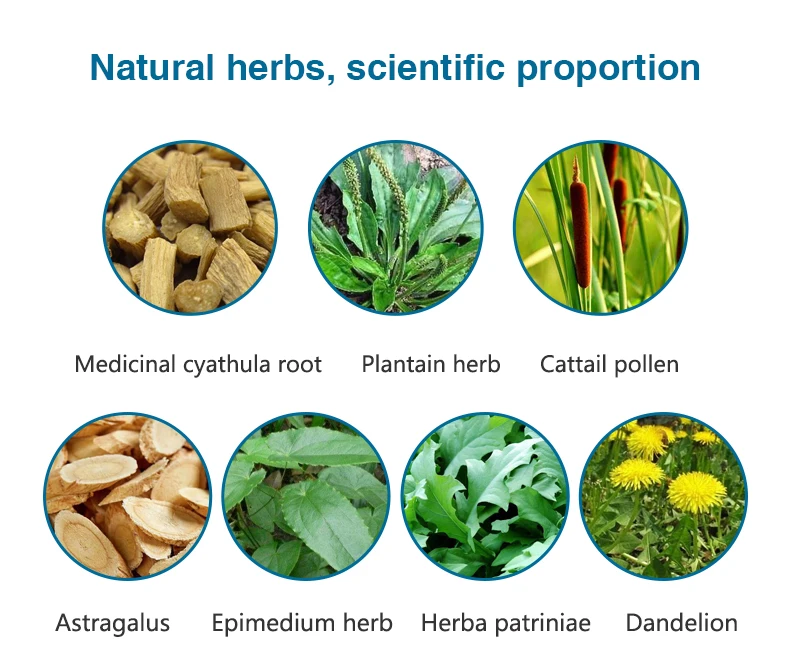 Winstown Prostate Tea For Natural Organic Herbs Tea Healthy Prostate