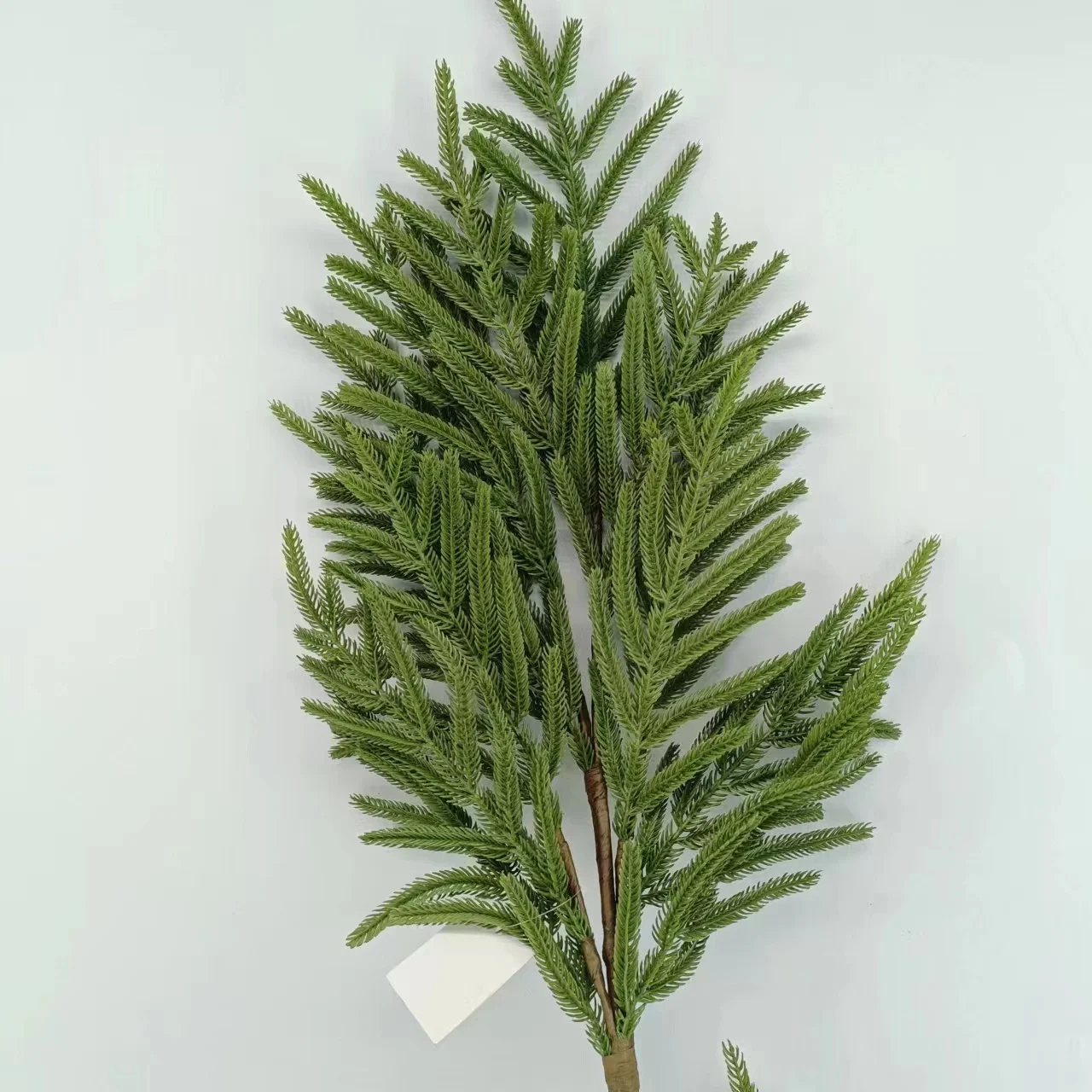 Factories Wholesale Norfolk Pine Stems Touch Soft Green Plant Home ...
