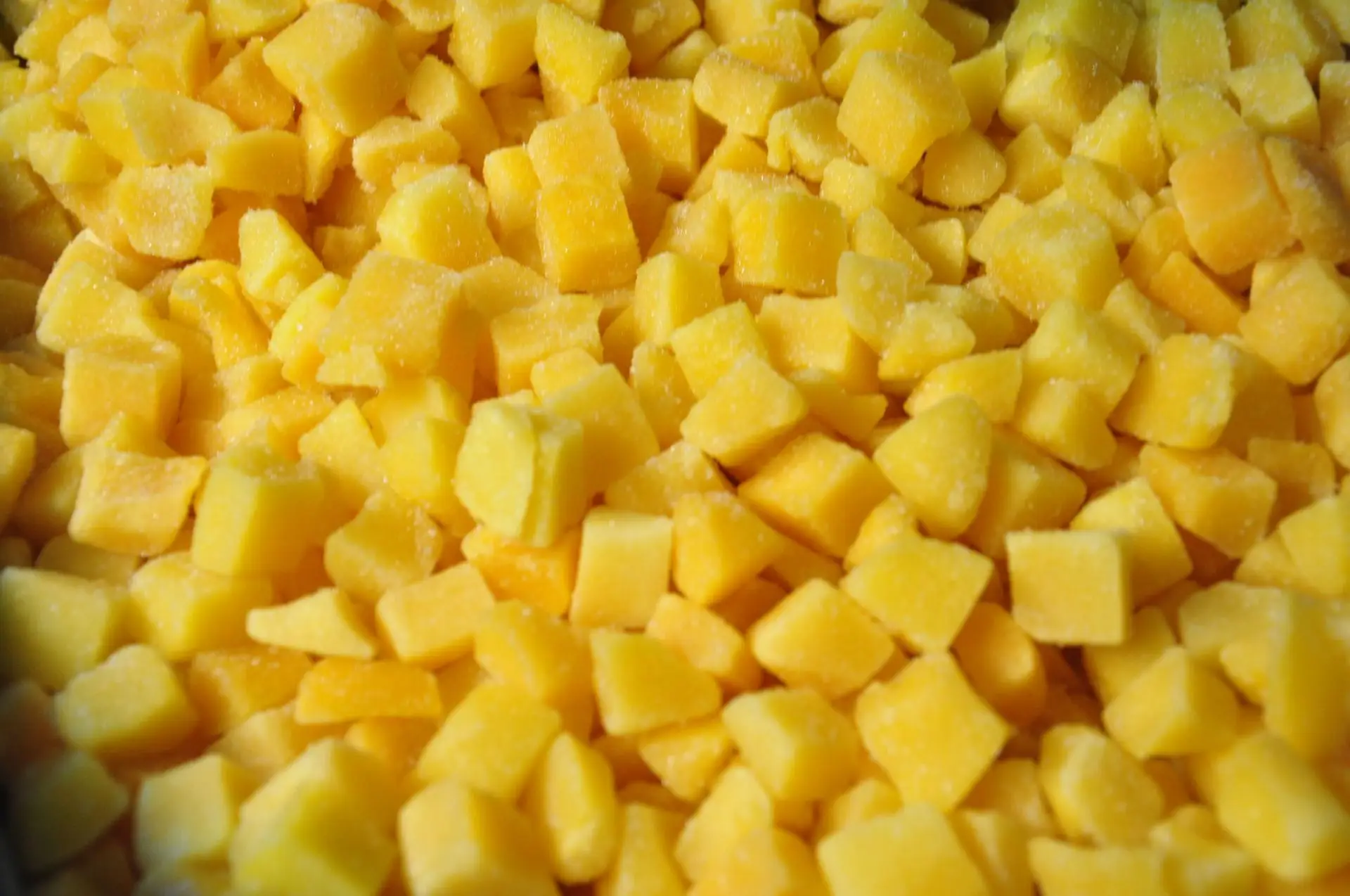 Iqf Frozen Fresh Mango Diced Or Sliced In Frozen Fruits Factory Price ...