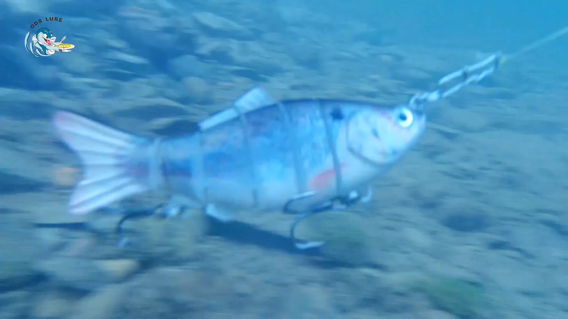 Shad Swimbait Big Sized 200mm /110g Multi Jointed Murray Cod Fishing ...