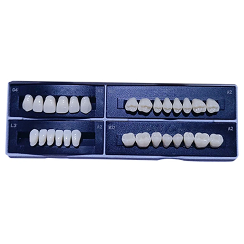 2-layer Artificial Denture Teeth Dental Acrylic Resin Teeth| Alibaba.com