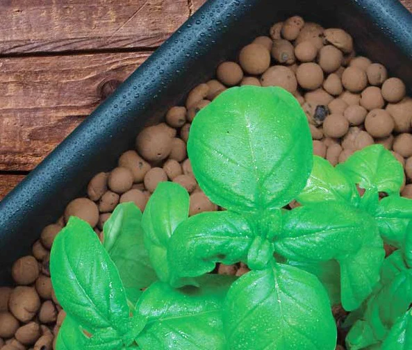 Round Leca And Clay Pebbles - Buy Leca Expanded Clay Pebble Ball garden ...