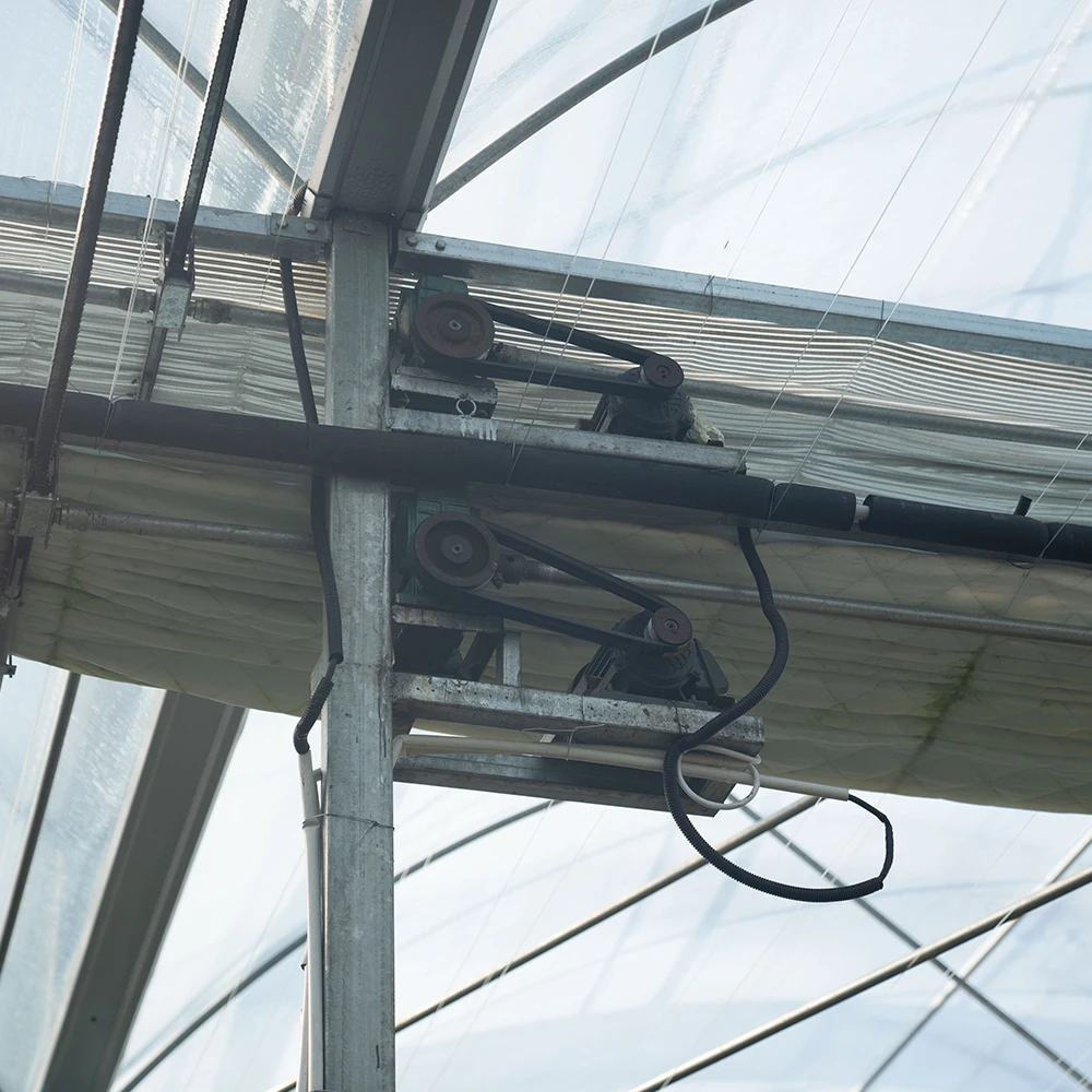 Spray Irrigation Systemgeodesic Dome Sawtooth Greenhouse Hydroponic ...