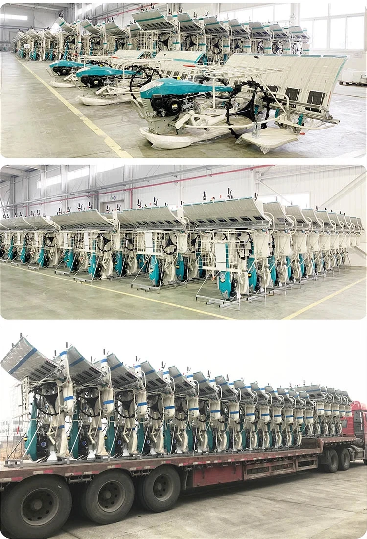 Kubota Rice Transplanter - High Productivity & Durability