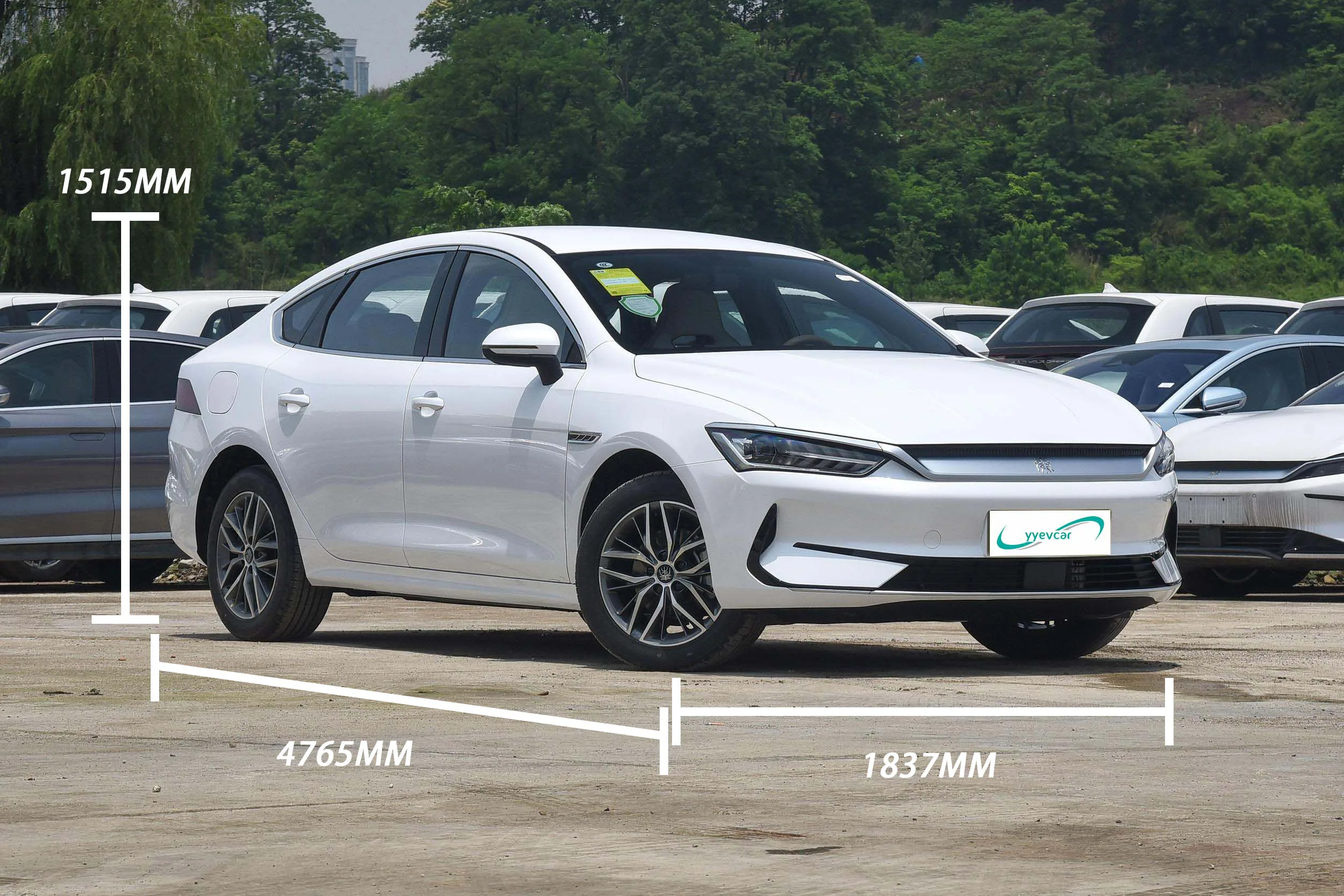 Leading Electric Car Brand Byd Qin Plus Ev Champion 610 Km Range Car ...