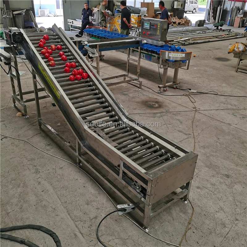 Size Classification Vegetable Selection Machine Sorter Mango Grading ...