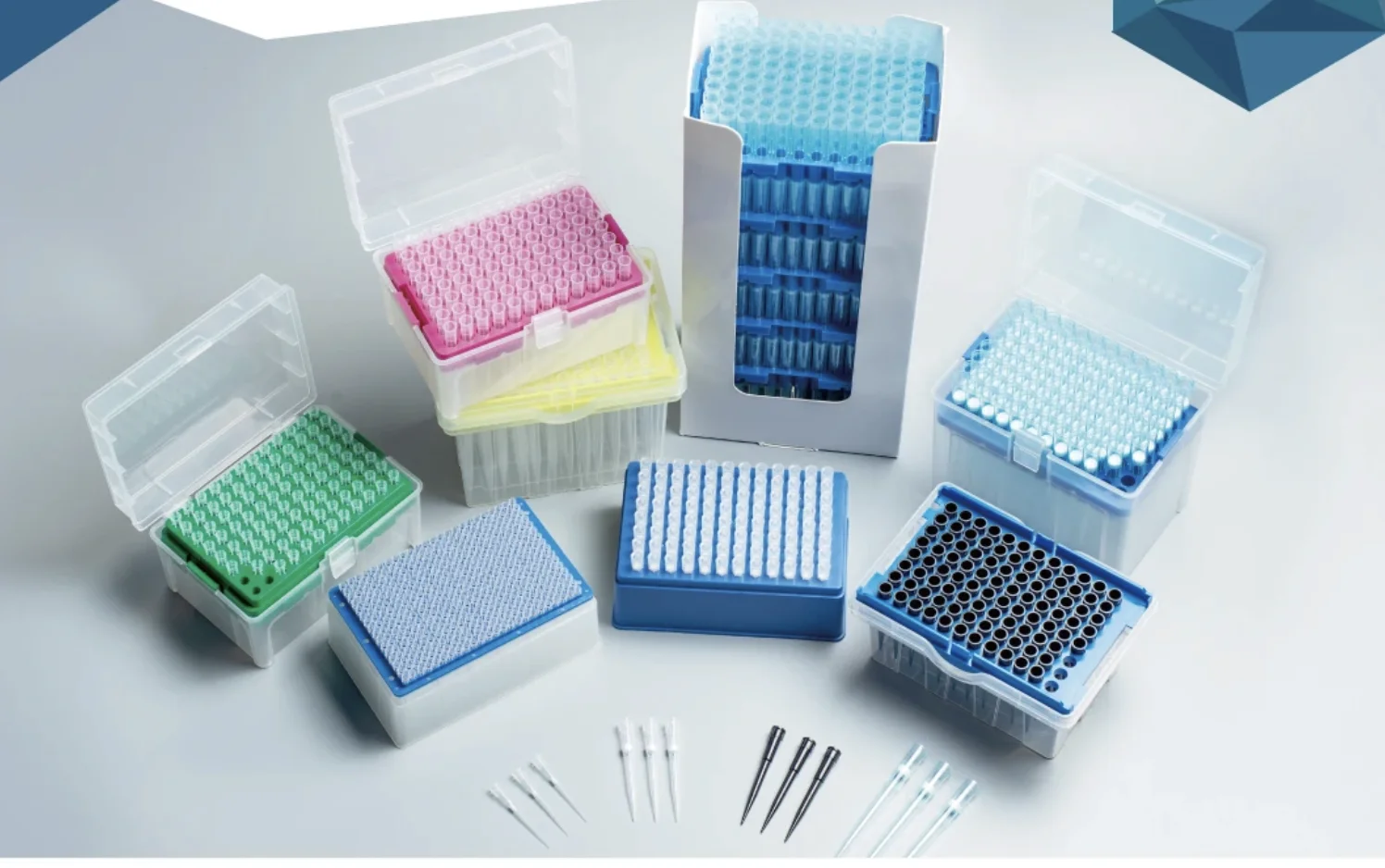 Bioland Sterile Micropipette Tips 12.5ul Low Retention Transparent ...