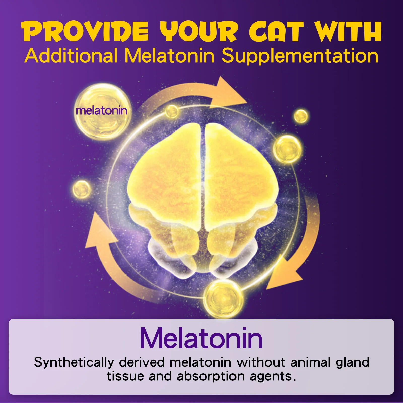 Melatonin Drops for Cats - Promotes Restful Sleep & Stress Relief