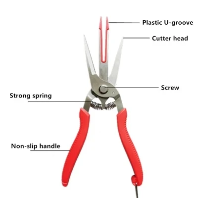 Double-edged Apple Picking Scissors Kiwi Pear Thinning Scissors Double ...