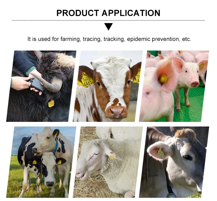 Allflex Ear Tags for Cattle Temperature Ear Tags Mice Ear Tags Reusable ...