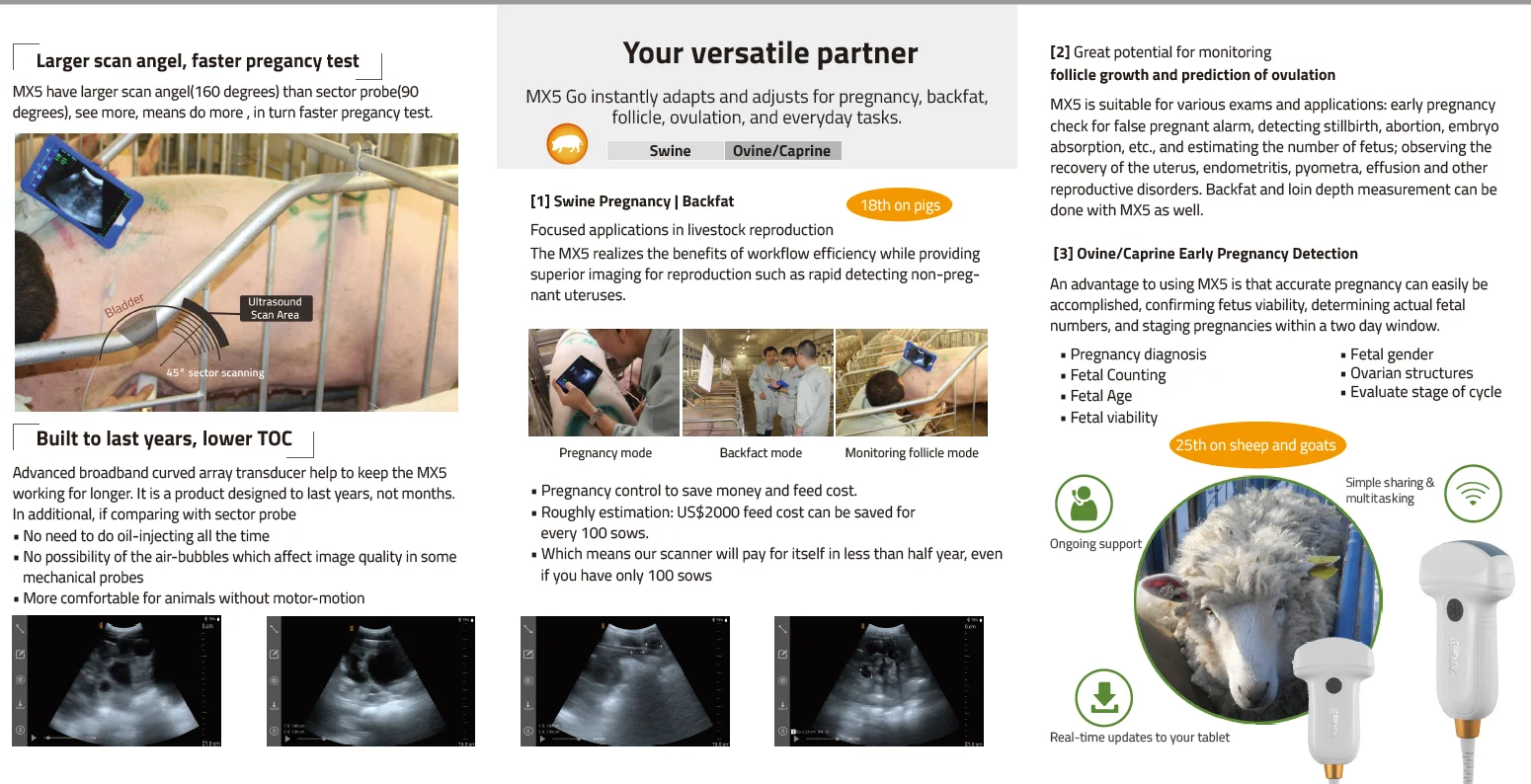 Cow Scans Farm Animals Pregnancy Check USG Portable Abdominal Imaging ...