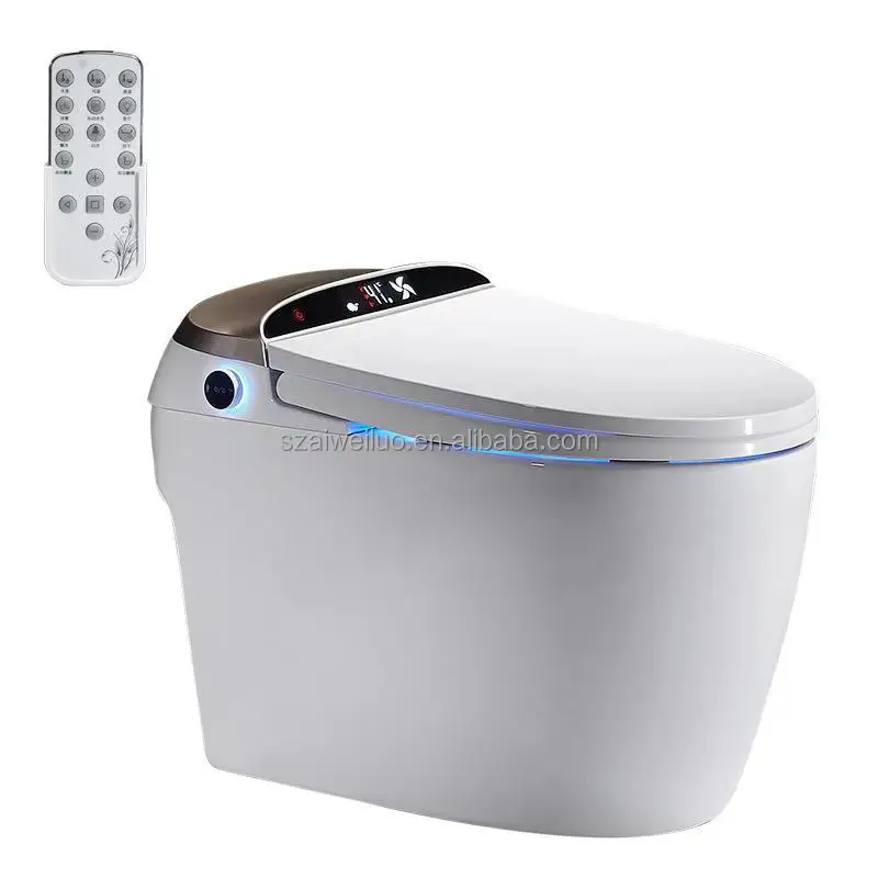 Gray Smart Toilet Floor Electronic Bathroom Wc Toilet Self Clean Auto ...