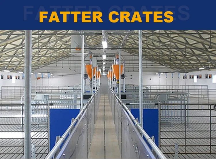 Farrowing Crates For Pigs Pig Breeding Equipment Pig Farrowing Crate ...