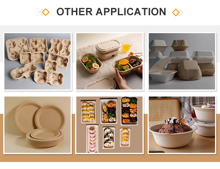 Disposable Biodegradable Pulp Moulded Cup Carrier Coffee Tea Hot Drink ...