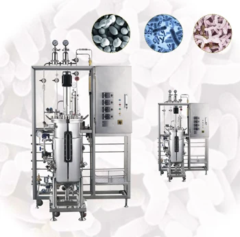 Ruiyuan Laboratory Lab Scale Anaerobic Stirred Mini Basic Benchtop ...