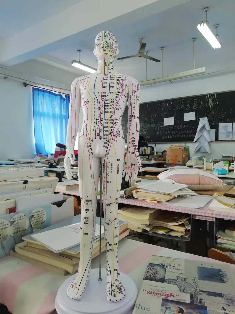 One-click Purchase Model Anatomy Professional Body Acupuncture ...