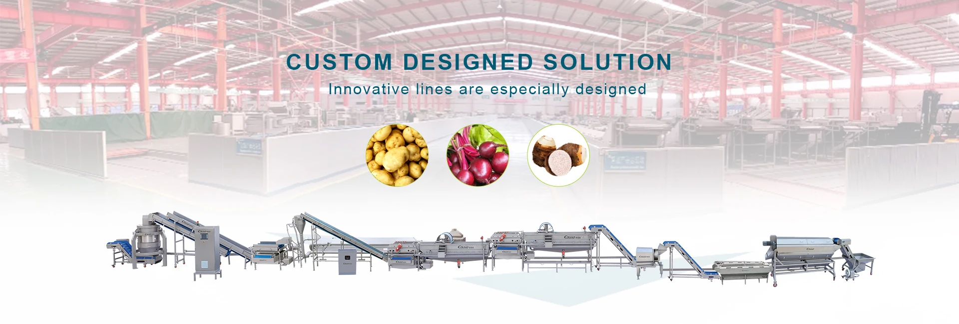 Automatic Fruit And Vegetable Sorting Grading Machine Auto Sorting And ...
