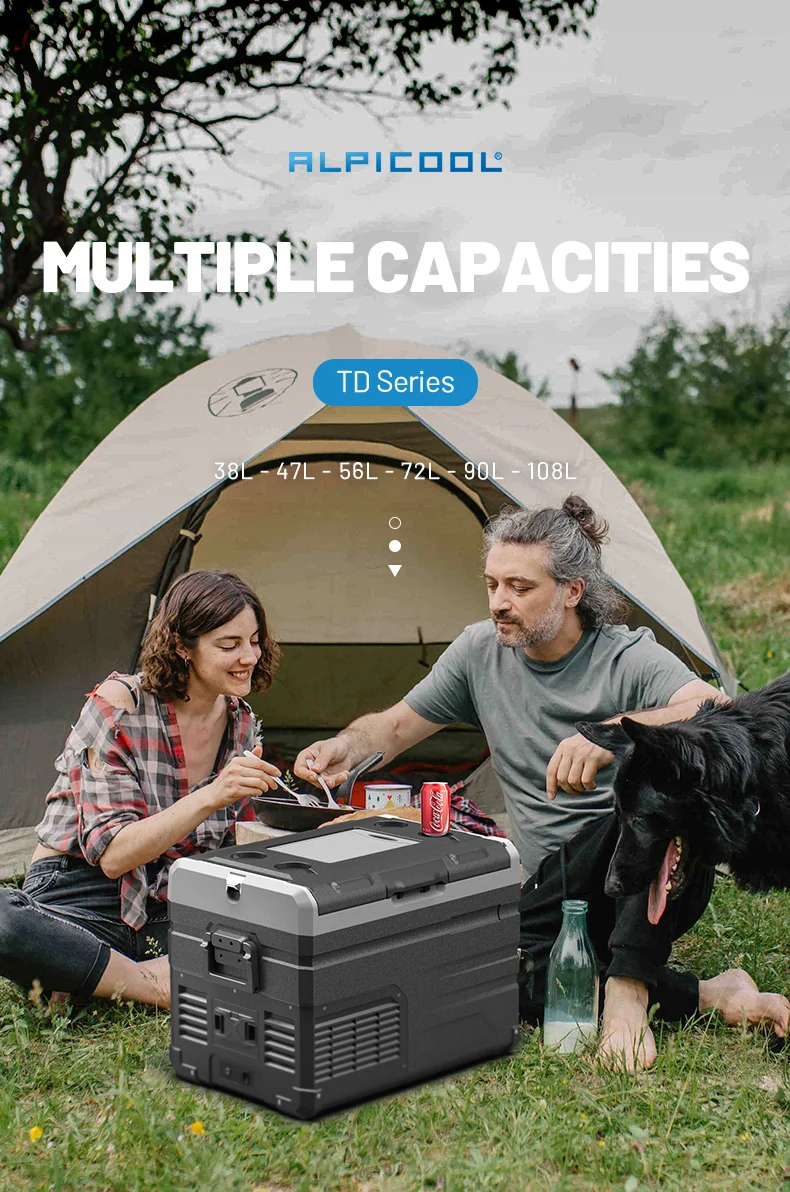 TD Series12V Cooler Freezer Dual-Zone Portable Refrigerator Cooler ...