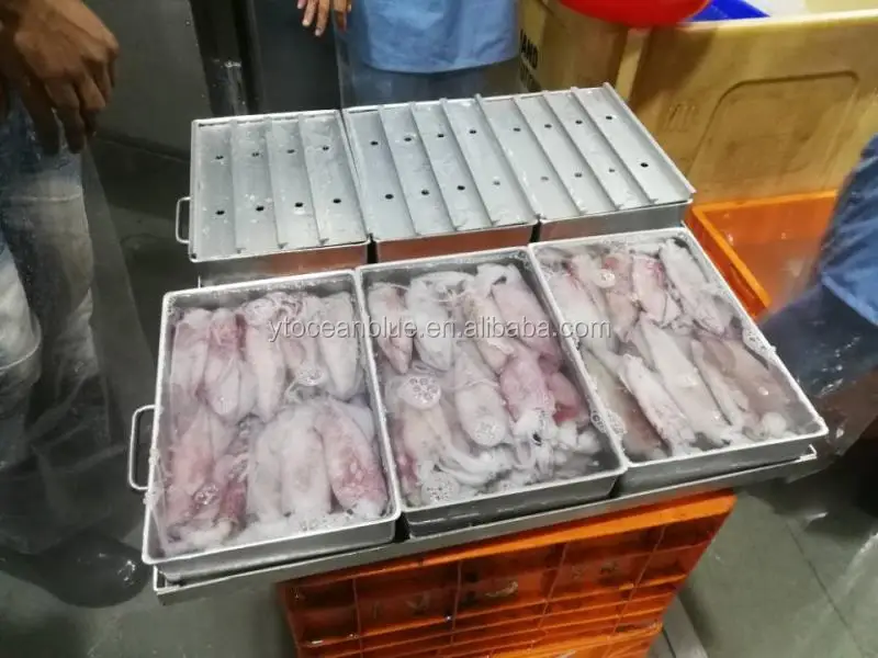 Aluminum Freezing Boxes And Trays Seafood Frozen Tray - Buy Aluminum ...
